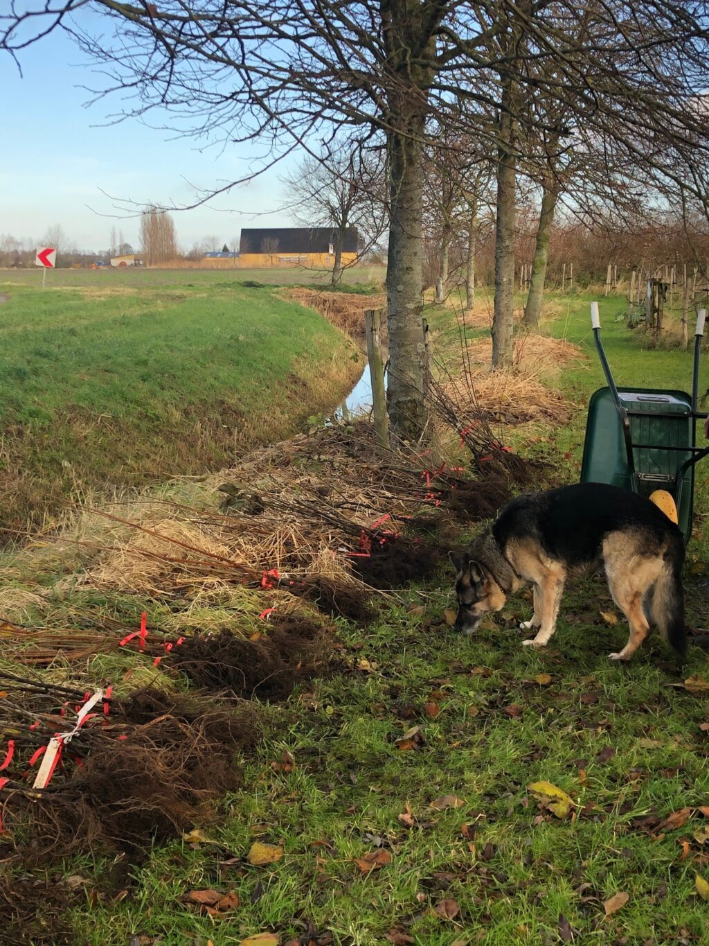 Gratis Boompjes Uitdeelactie - ZMf Zeeland